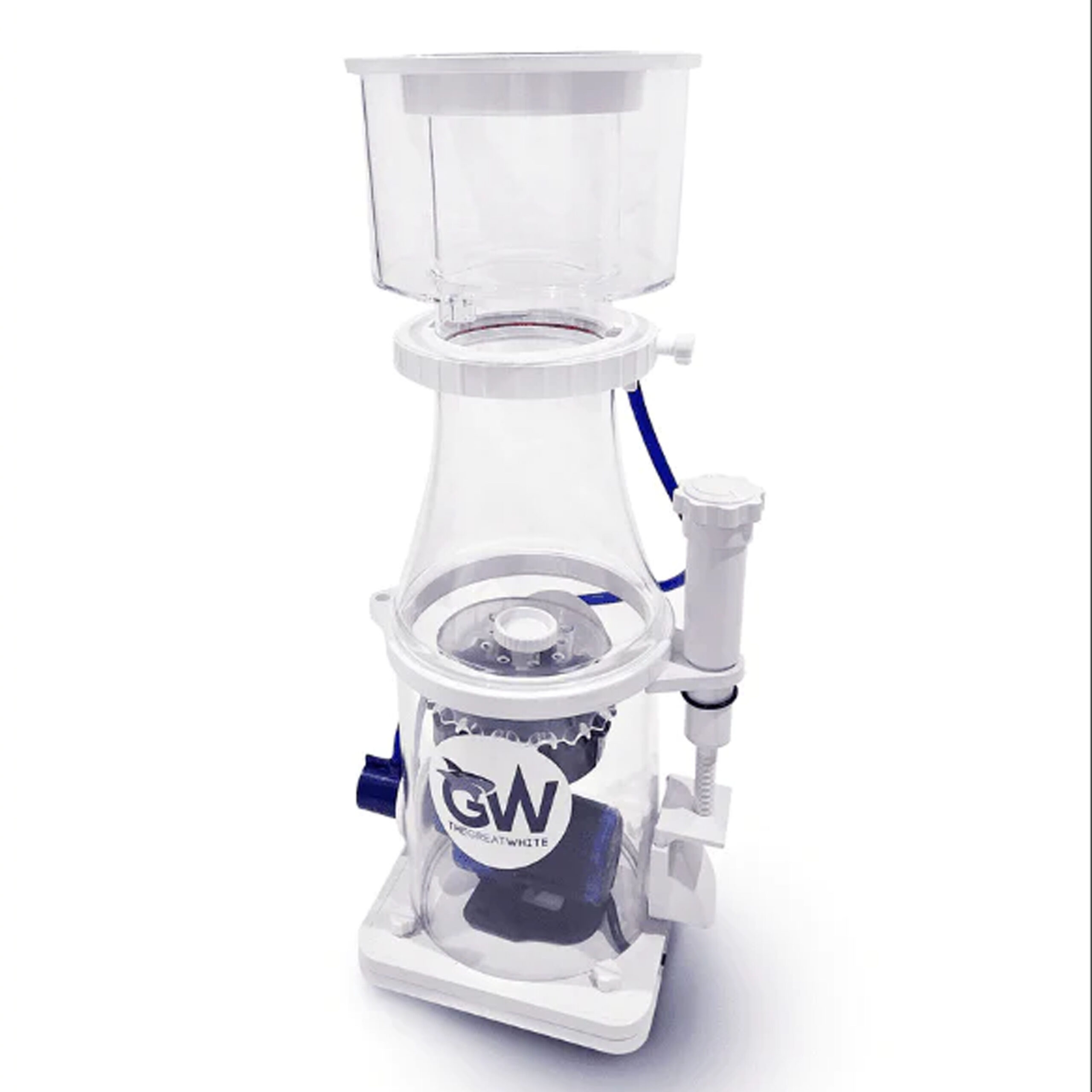 GREAT WHITE SKIMMER - Chasing Colors Valencia